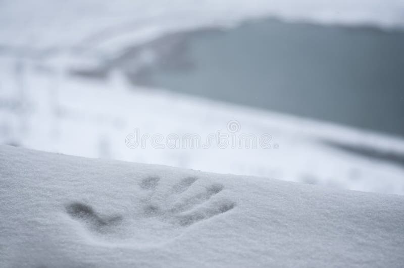 Perfect Hand Print in Fresh Snow, with Blurred Background of Lake and ...