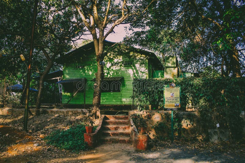 A perfect hideout editorial photo. Image of jungle, hangout - 118001871