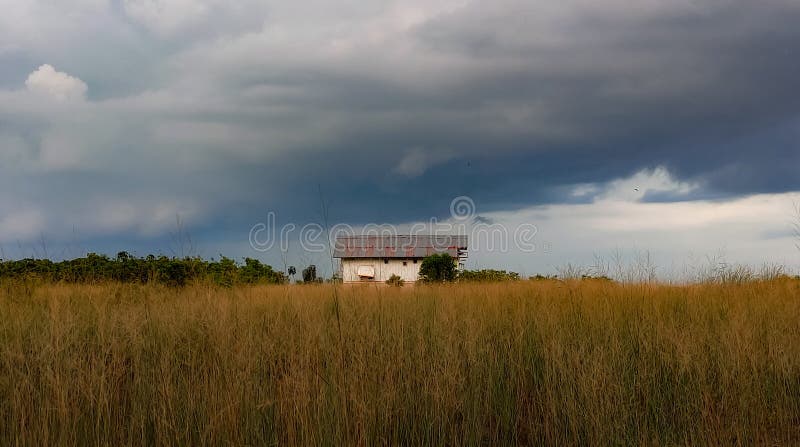 Perfect Hideout stock photo. Image of thunder, field - 275482420