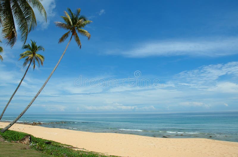 Perfect holiday stock image. Image of lone, blue, team - 329331