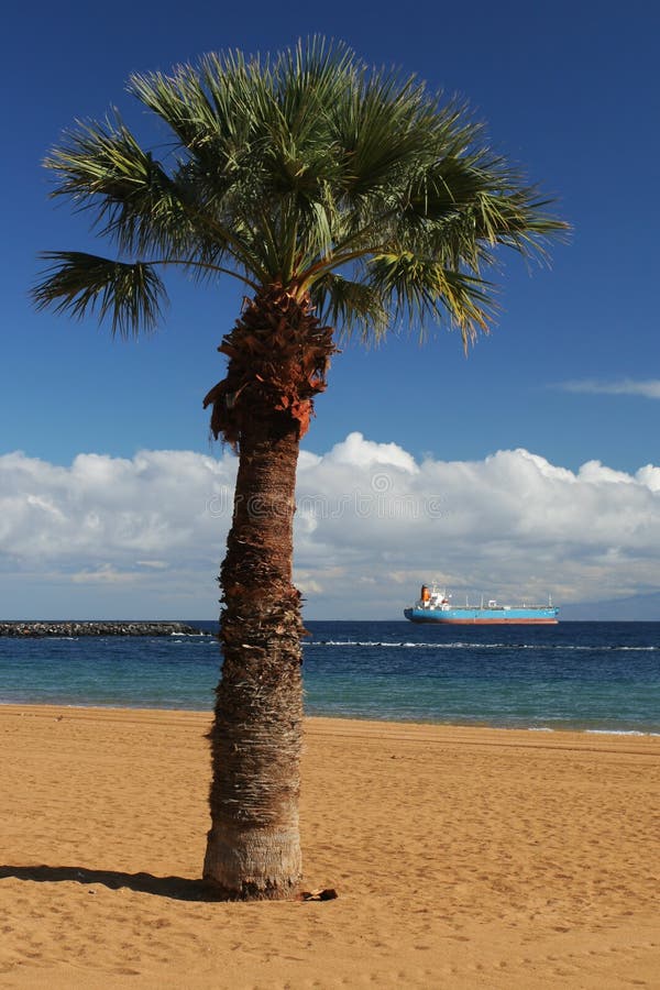 Perfect holiday stock image. Image of canary, view, beach - 4449553