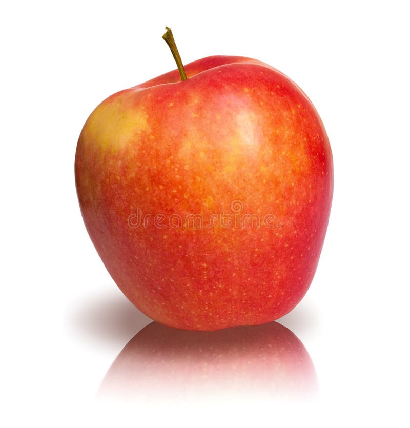 Perfect isolated red apple stock image. Image of apple - 12893333