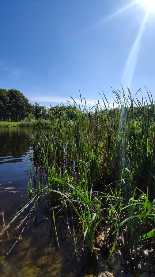 Perfect Lake in the City Park in the Autumn Season Stock Image - Image ...