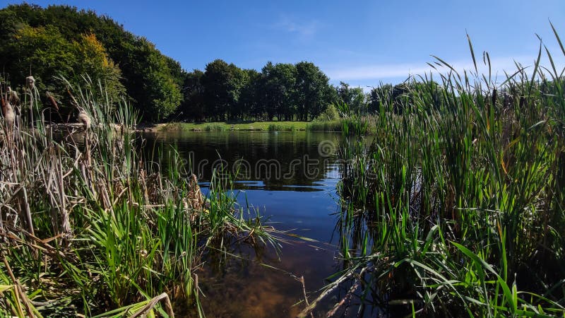 Perfect Lake in Mountains stock image. Image of idyllic - 31250385