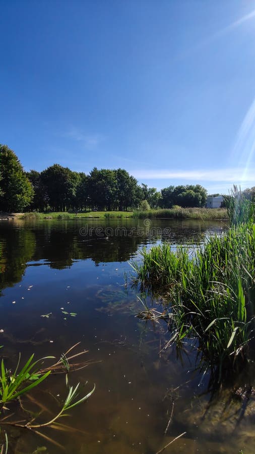 Perfect Lake in the City Park in the Autumn Season Stock Photo - Image ...