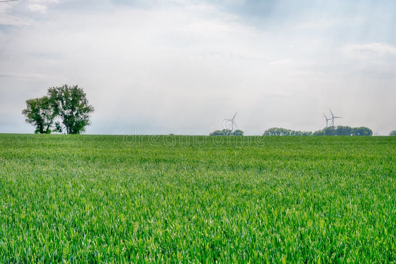 Perfect Landscape of Fields in the Sunny Day with Perfect Clouds on the ...