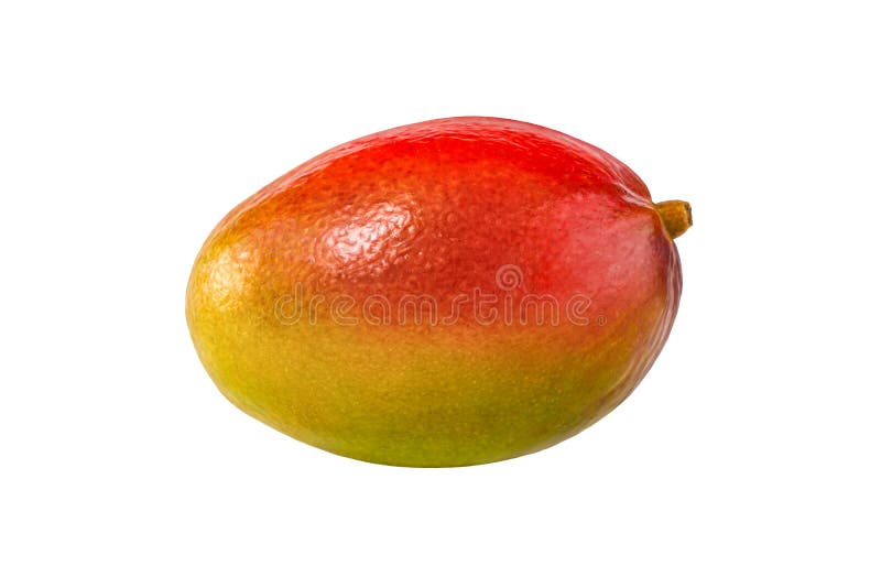 Perfect Mango without Leaf Isolated on White Stock Photo - Image of ...