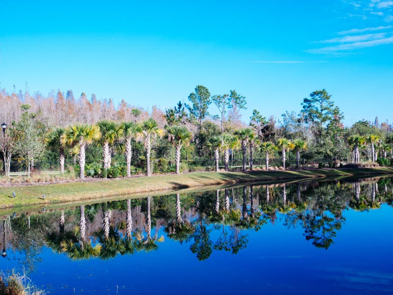 Perfect mirror reflection stock image. Image of fauna - 166015987