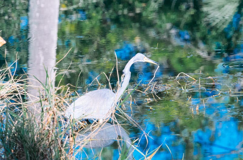Perfect mirror reflection stock image. Image of clean - 166015825