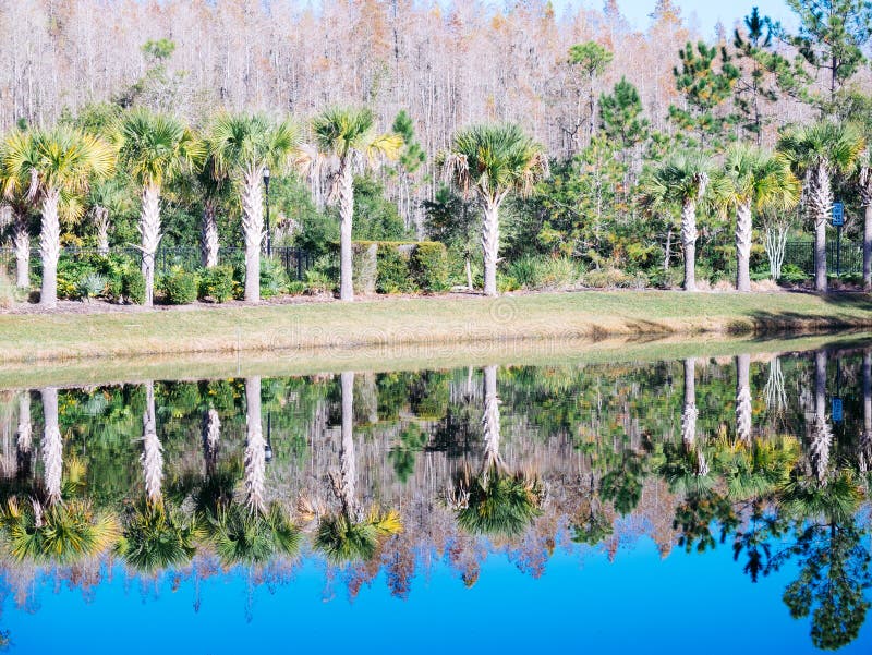 Perfect mirror reflection stock image. Image of environment - 166015879