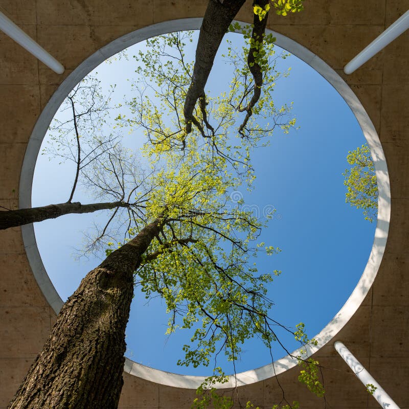 Perfect Nature Integration into Modern Architecture. Stock Image ...