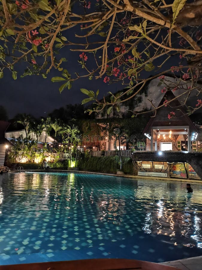 Perfect night party stock photo. Image of lighting, party - 253101544