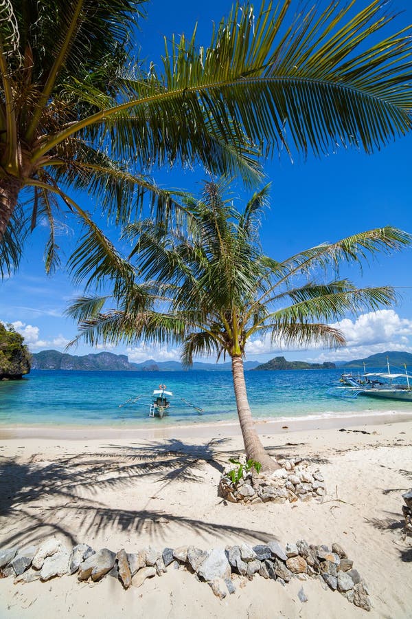 Perfect palm beach stock image. Image of shore, palm - 32500481