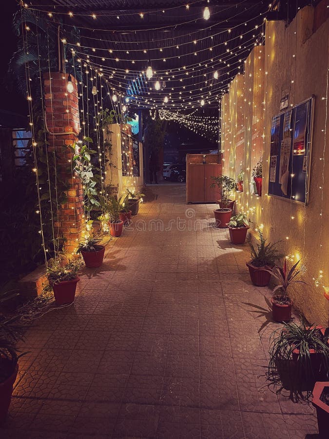 1,026 Look All Around Stock Photos - Free & Royalty-Free Stock Photos ...