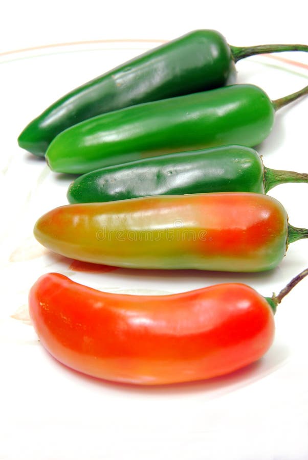 Perfect pepers stock image. Image of vegetarian, vegetable - 4520769