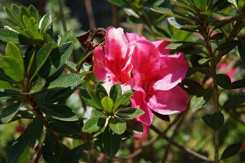 Perfect Pict Stock Photos - Free & Royalty-Free Stock Photos from ...