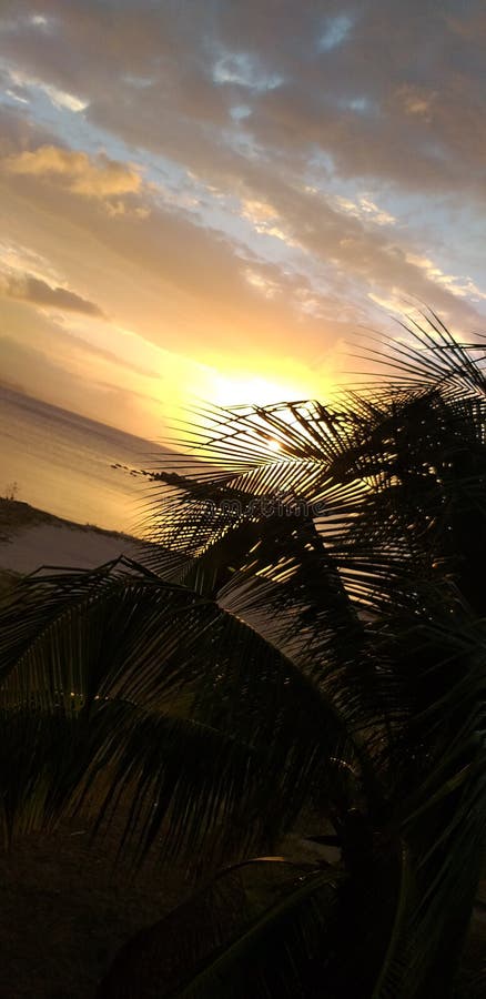 Perfect place for chilling stock photo. Image of sunset - 177964910