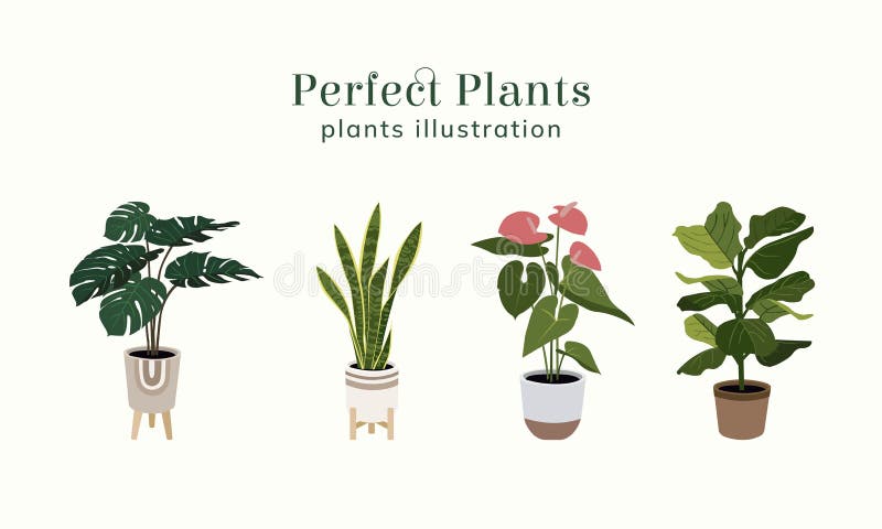 Perfect Plant Vector Illustration in Flat Unique Design Stock Vector ...
