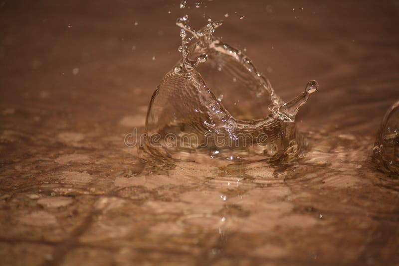 Perfect Rain water drops stock photo. Image of flight - 117046538