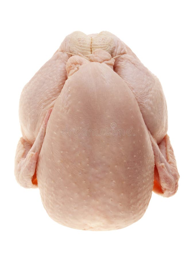 Perfect Raw Chicken Isolated on White , Top View Stock Photo - Image of ...