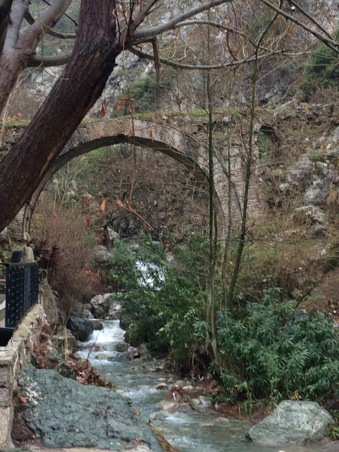 Perfect stock image. Image of perfect, real, good - 90827047