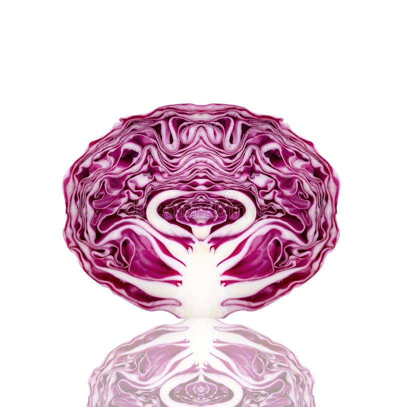 Perfect red cabbage stock image. Image of crunchy, nutrition - 60534789