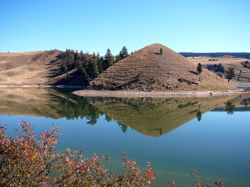 Perfect Reflection stock photo. Image of clear, brush - 2007114