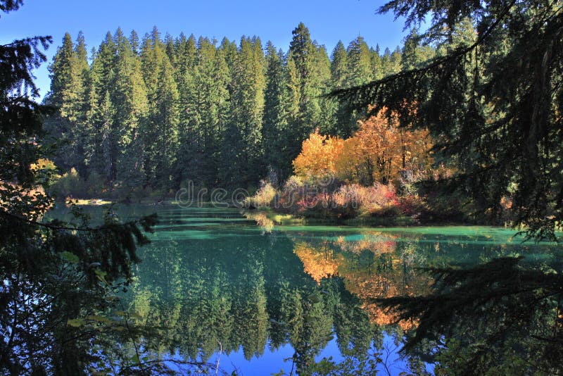 Perfect reflection stock image. Image of fall, trees - 27574417
