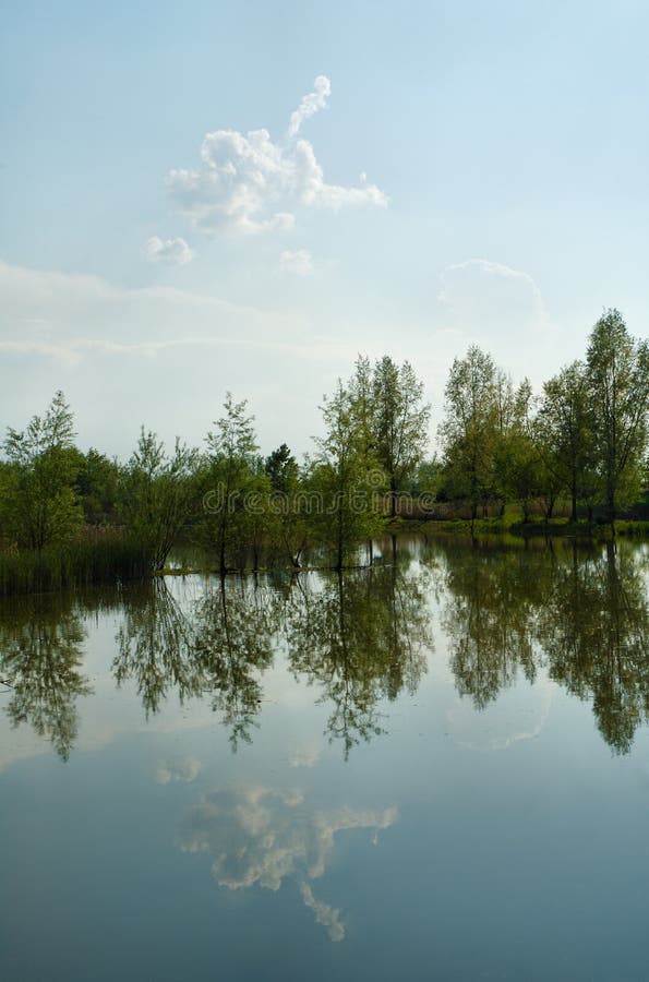 Perfect reflection stock image. Image of clear, nature - 970055