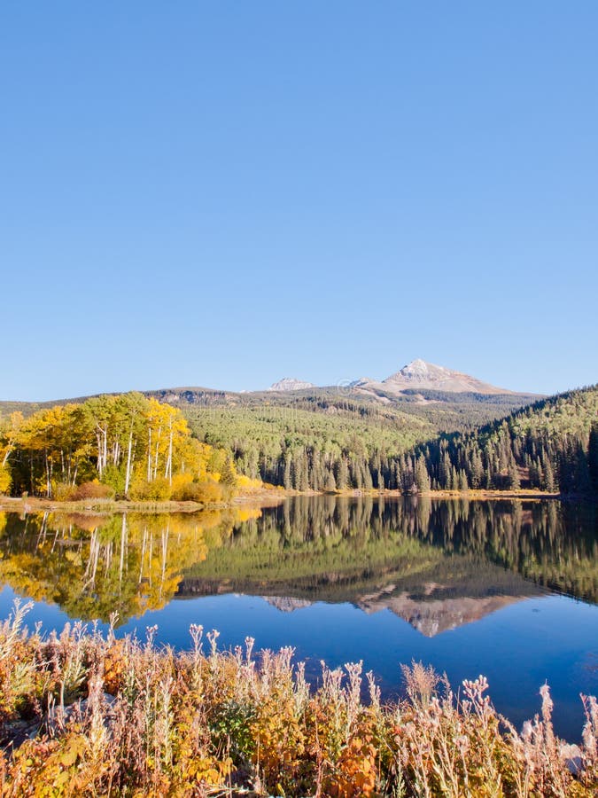 Perfect Reflection stock photo. Image of pond, nature - 33482238