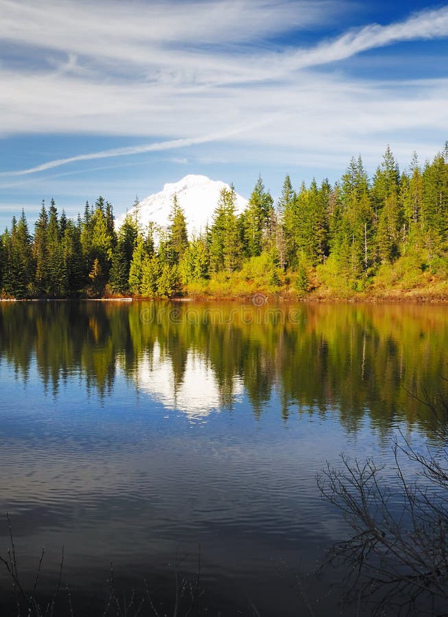 Perfect Mirror Reflection On Lake Stock Photo - Image of clean, forest ...