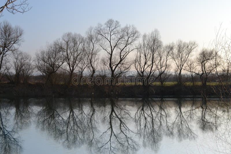 Perfect reflection stock photo. Image of nature, branch - 65675210