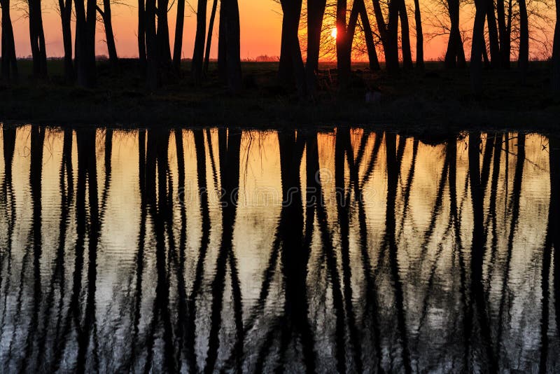 Perfect Reflection of Trees in Water at Sunset Stock Image - Image of ...