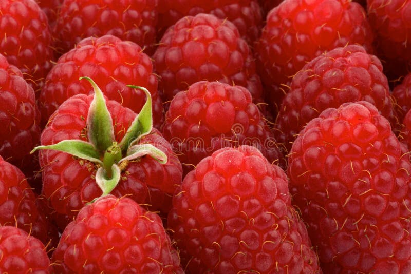 Perfect Ripe Raspberries Background Stock Image - Image of full, berry ...