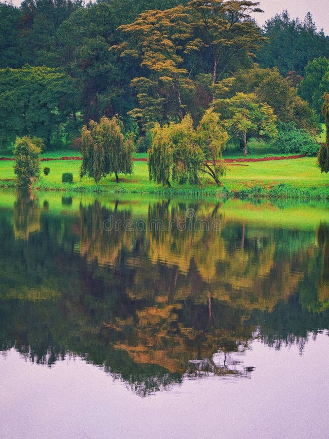 A perfect riverside shot stock image. Image of beautiful - 275950903