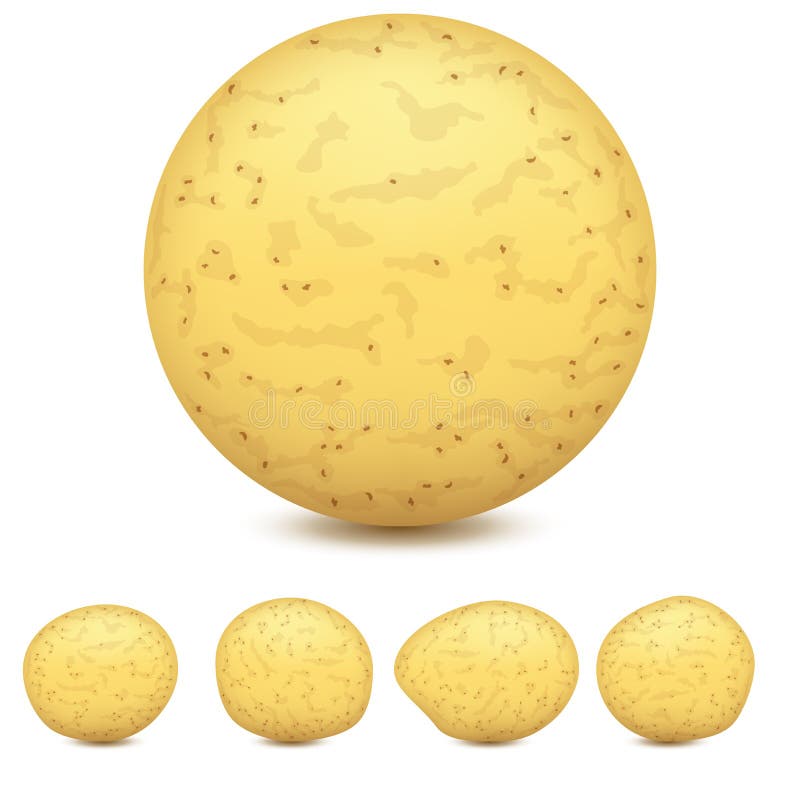 Perfect Round Potato with Deformed Variants Stock Vector - Illustration ...