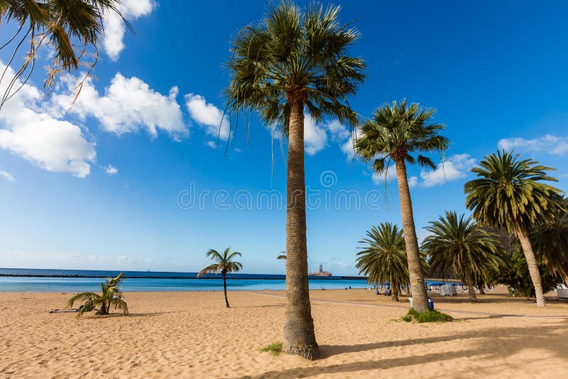 Perfect Sandy Beach in Hot Summer Day Stock Image - Image of shore ...