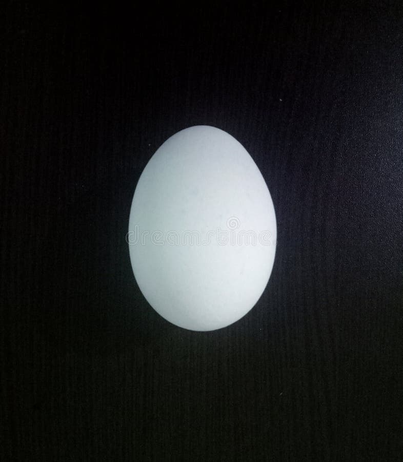 Perfect shaped egg stock photo. Image of perfect, chicken - 146985172