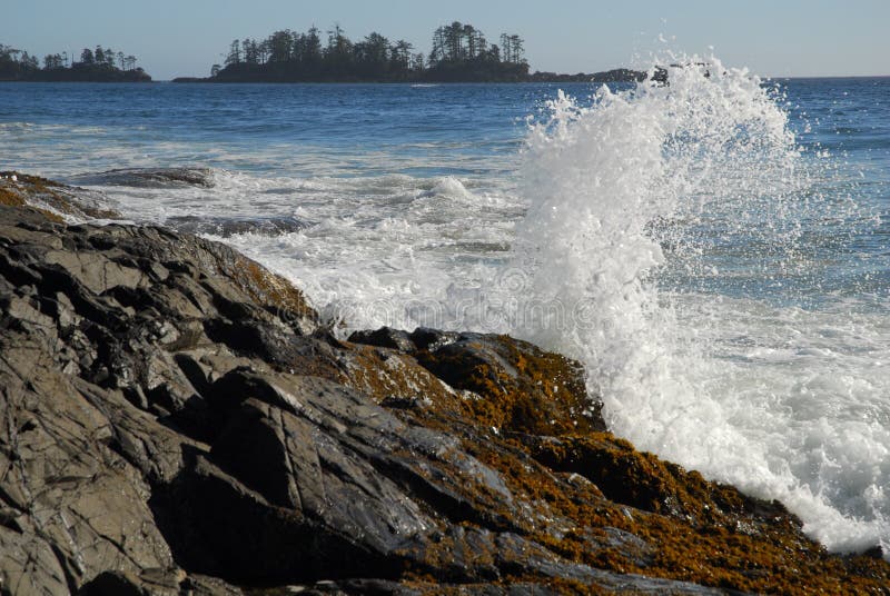 Perfect Splash stock image. Image of water, salt, wickaninnish - 6791047