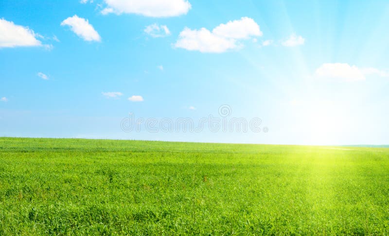 Perfect summer day stock photo. Image of farm, nature - 6576442