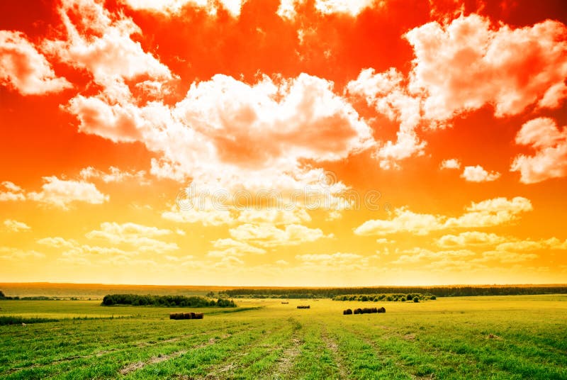 Perfect summer day stock photo. Image of landscape, agriculture - 7252048