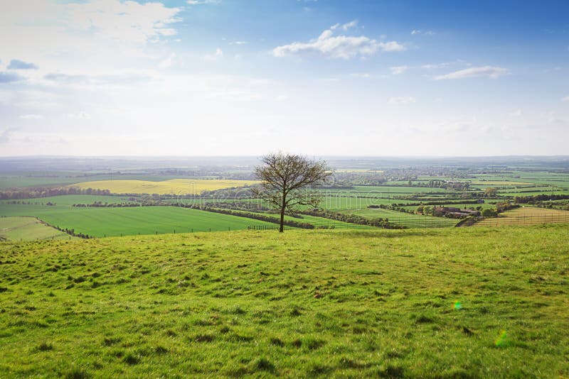 Perfect summer landscape stock photo. Image of field - 51644014