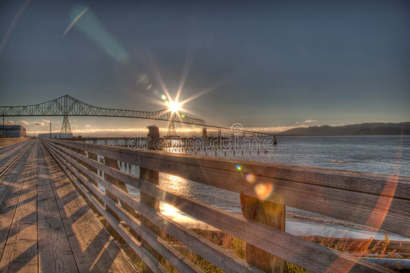 Wild Mareeba Rock Wallabies, Mitchell River, Cairns, Queensland ...