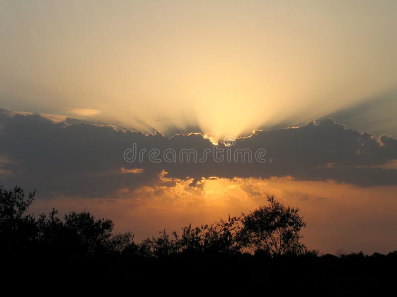 A Perfect Sunset Over the Forest. Sun Rays in the Dark Forest. the View ...
