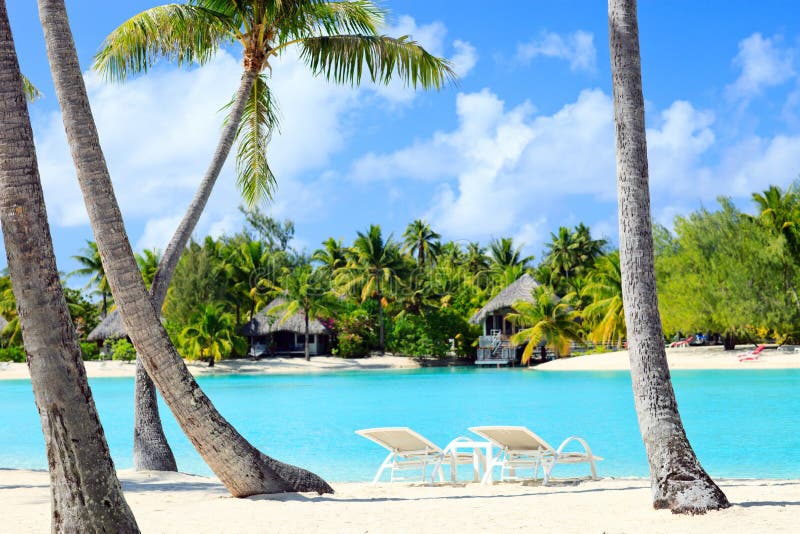 Perfect tropical beach stock image. Image of paradise - 26164059