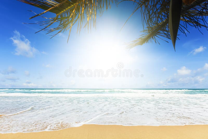 Perfect tropical beach stock image. Image of cloud, beach - 29455655