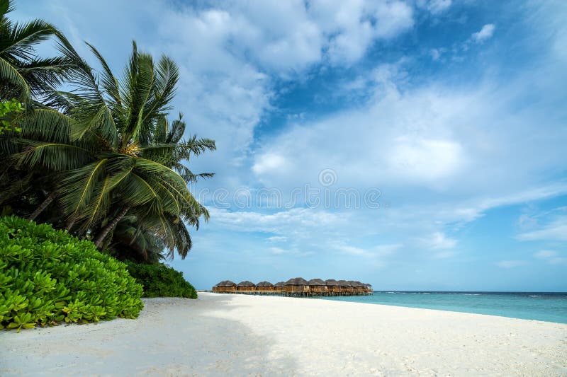 Perfect tropical beach stock image. Image of coastline - 47559511