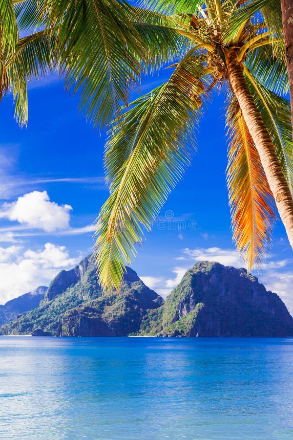 Scenery of Palawan (Philippines) Stock Image - Image of beach, idyllic ...