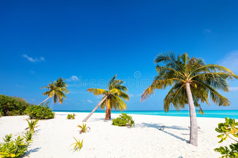 Perfect tropical beach stock photo. Image of ocean, coast - 178599614