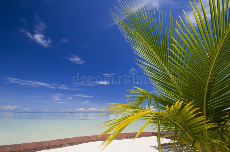 Perfect Tropical Island Relaxation. Stock Photo - Image of ocean ...